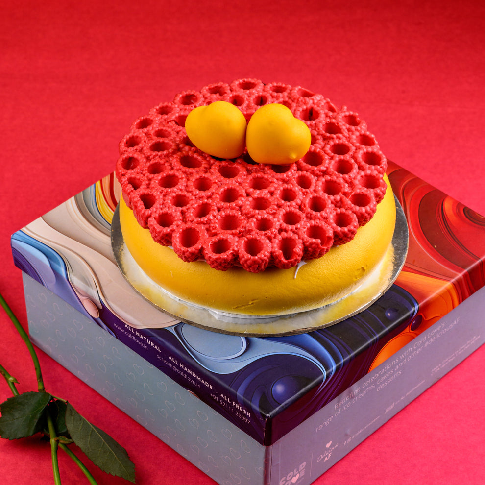 Mango Raspberry Vanilla Ice Cream Cake – Cold Love Ice Cream